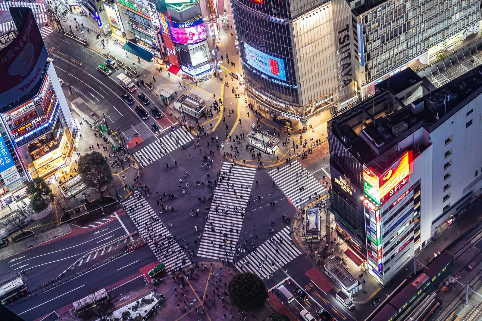Tokyo Shibuya Crossing: The World’s Busiest Intersection - airashijapan.com