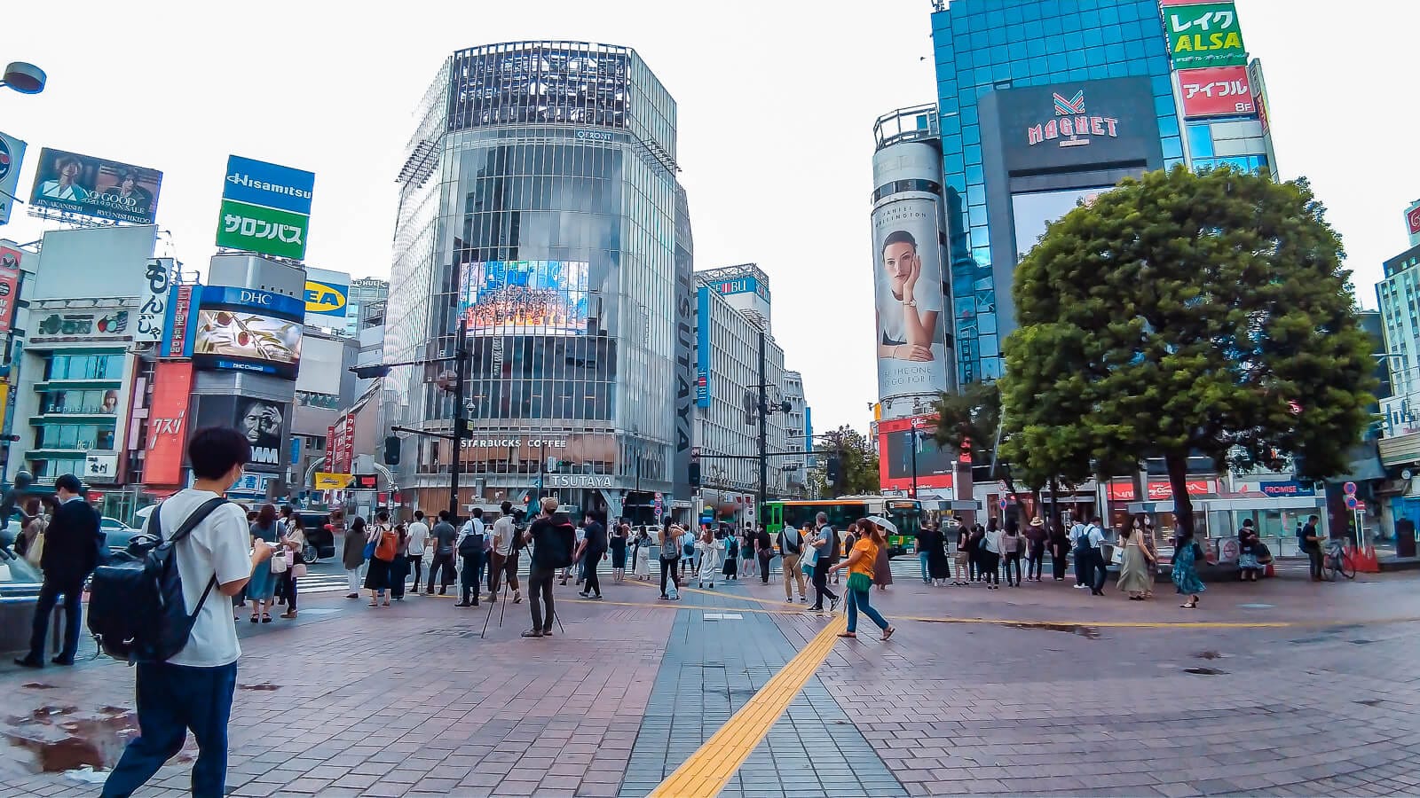 Tokyo Shibuya Crossing: The World’s Busiest Intersection - airashijapan.com