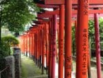The Mystical Allure of the Torii Gate: A Gateway to Japanese Culture ...