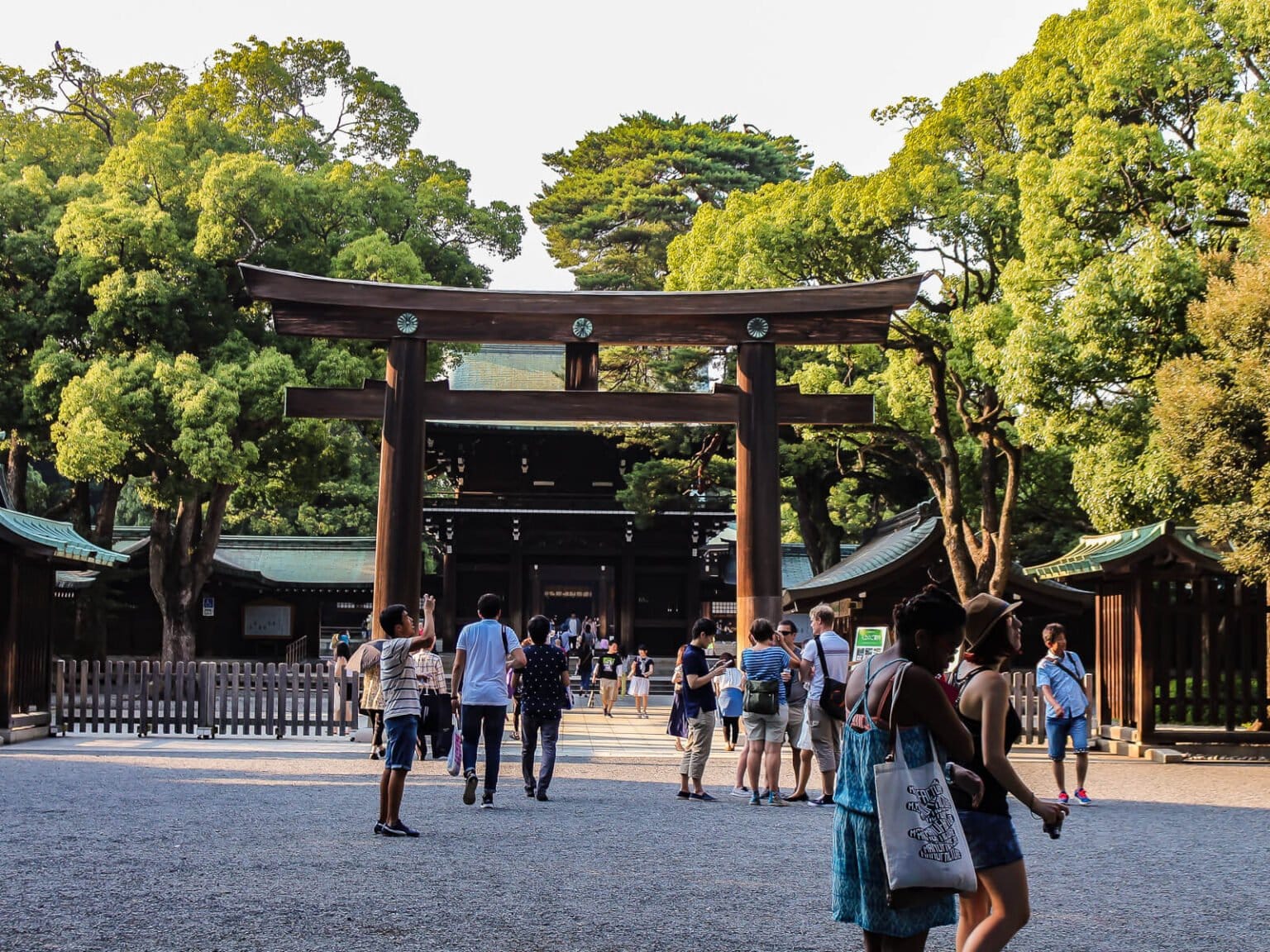 Meiji Shrine : Journeying Through Tokyo’s Meiji Shrine - airashijapan.com