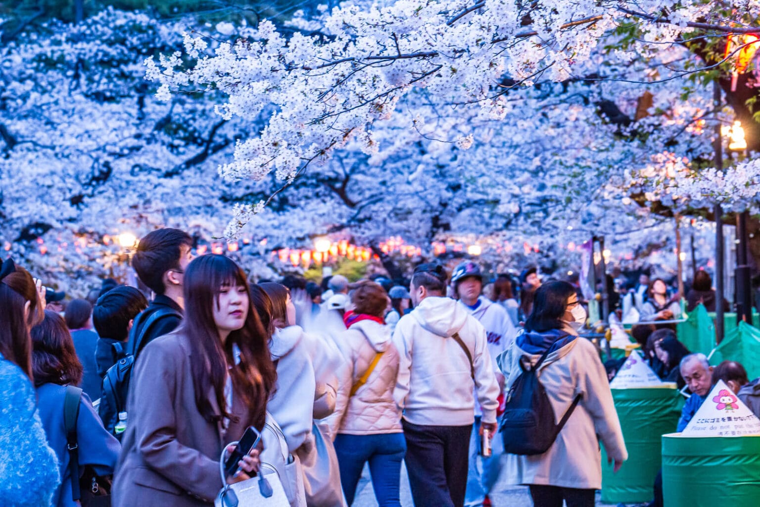 Best Places to See Sakura in Tokyo – A Complete Guide - airashijapan.com